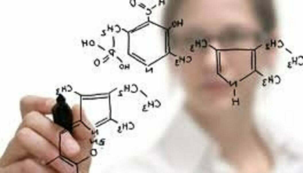 Is The MSL Role Understood? - Morunda